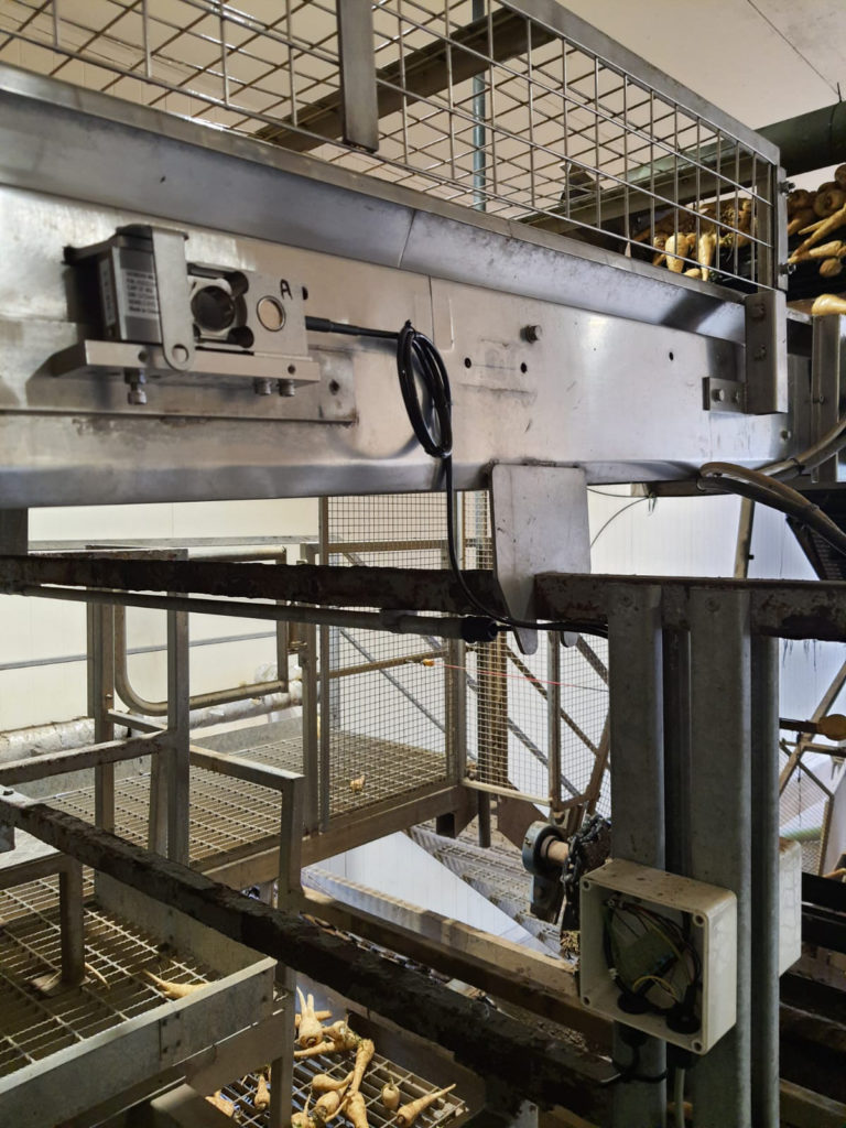 Siemens Milltronics WD600 for a vegetable packing plant in East Anglia ...
