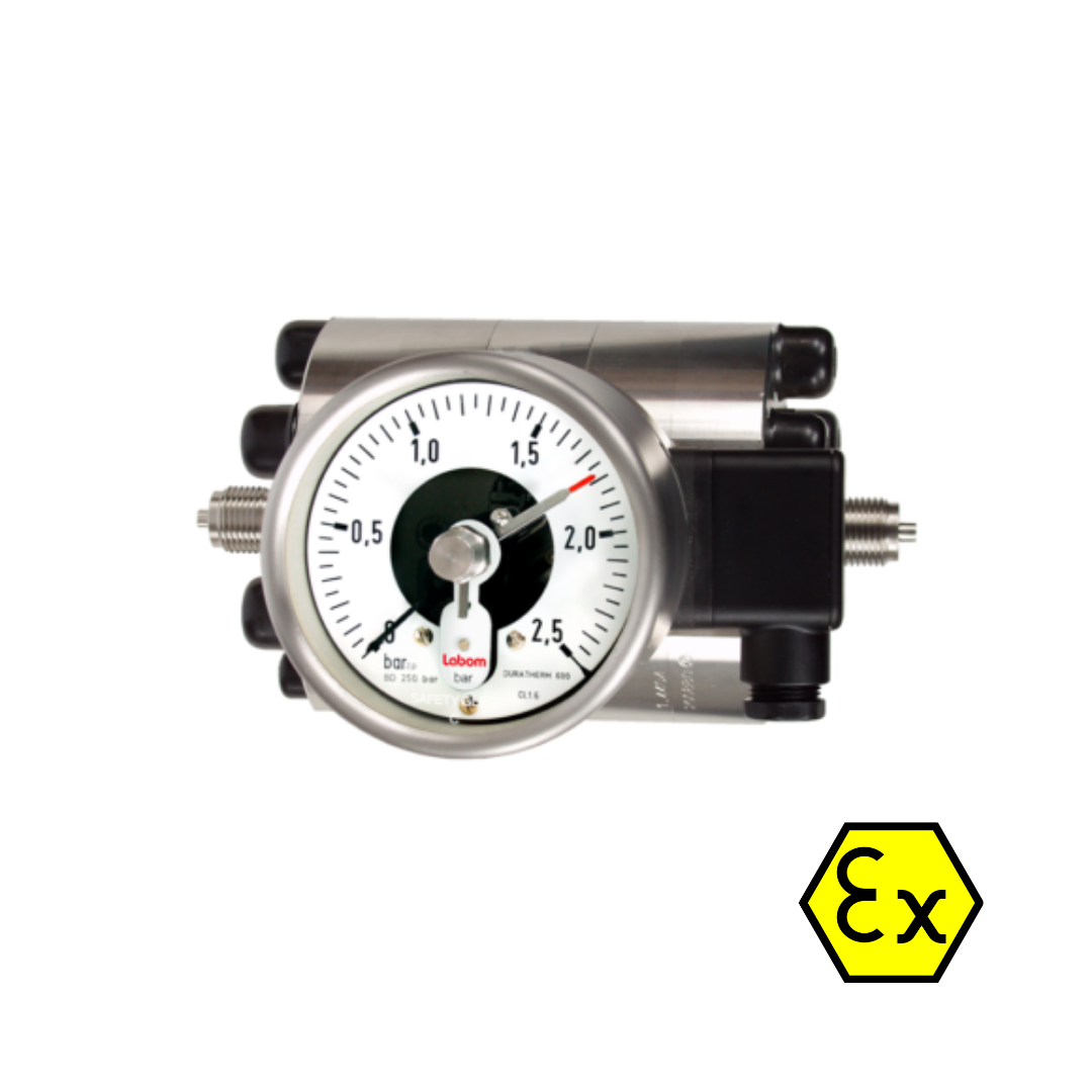 Labom Differential Pressure Gauge BG3200/BG3300 - Process Instruments