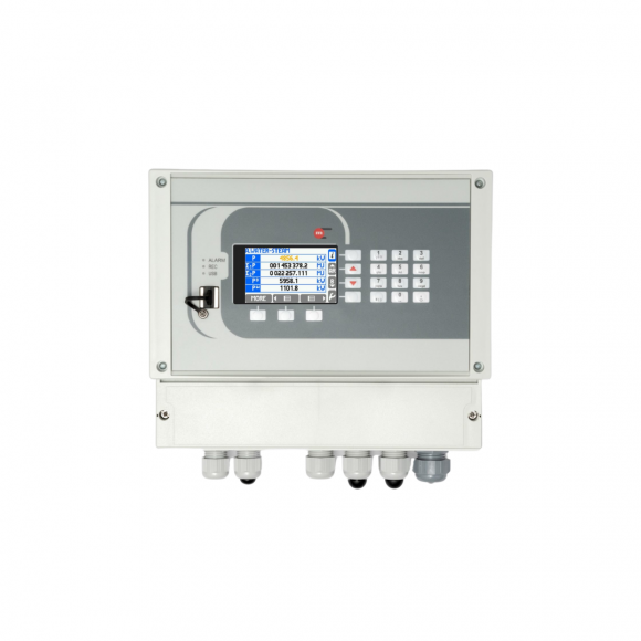 Siemens SITRANS FS290 - Process Instruments