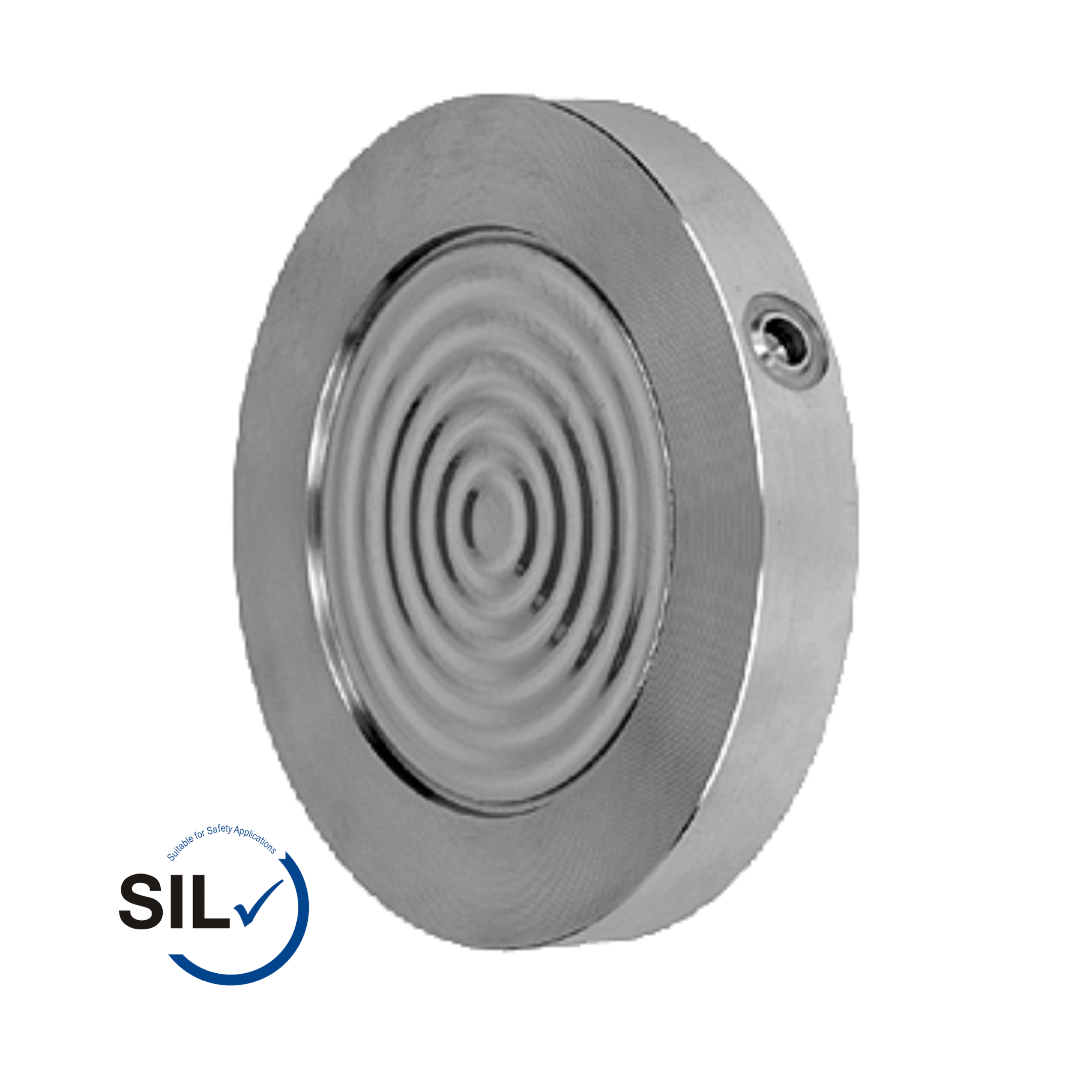 Siemens Remote Seals for SITRANS P320/ P420 Diaphragm seals - Process ...