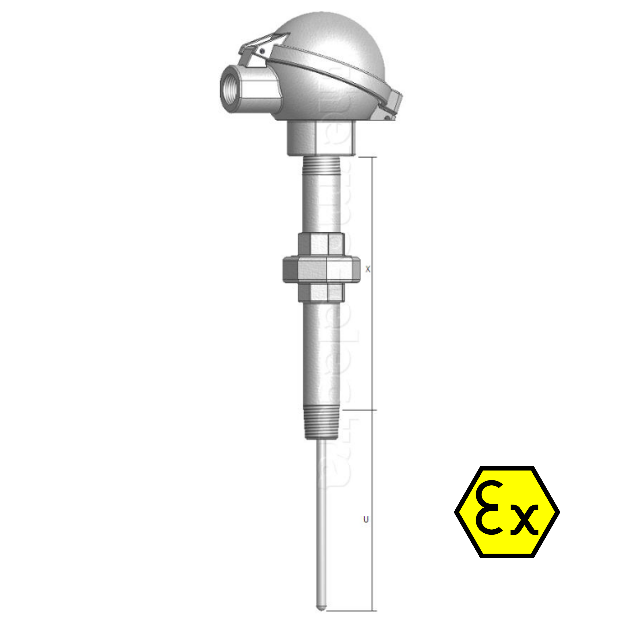 Thermo-Electra LEX50 Ex thermocouple with connection head - Process ...